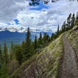 Castle Mountain Lookout Trail, Alberta, Canada - 1,944 Reviews, Map ...