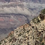 South Kaibab Trail to Cedar Ridge, Arizona - 5,864 Reviews, Map | AllTrails