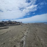 Damon Point State Park Trail, Washington - 513 Reviews, Map | AllTrails
