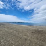 Damon Point State Park Trail, Washington - 513 Reviews, Map | AllTrails