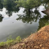 Lake Grapevine Horseshoe Trail, Texas - 2,191 Reviews, Map | AllTrails