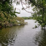 Hansen Dam Bike Path Trail, California - 828 Reviews, Map | AllTrails