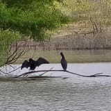 Hansen Dam Bike Path Trail, California - 828 Reviews, Map | AllTrails