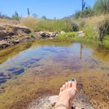 Hackberry Springs Loop, Arizona - 1,742 Reviews, Map | AllTrails