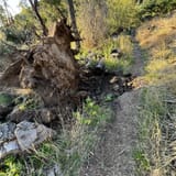 Cheyenne Mountain via Talon and Dixon Trail, Colorado - 819 Reviews ...