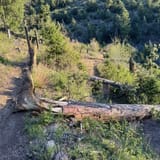Cheyenne Mountain via Talon and Dixon Trail, Colorado - 819 Reviews ...