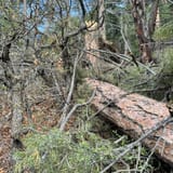 Cheyenne Mountain via Talon and Dixon Trail, Colorado - 819 Reviews ...