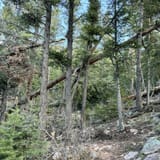Cheyenne Mountain via Talon and Dixon Trail, Colorado - 819 Reviews ...