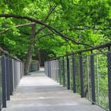 Dow Gardens Canopy Walk, Michigan - 138 Reviews, Map | AllTrails