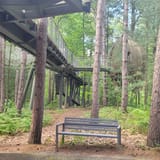 Dow Gardens Canopy Walk, Michigan - 138 Reviews, Map | AllTrails