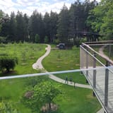 Dow Gardens Canopy Walk, Michigan - 138 Reviews, Map | AllTrails