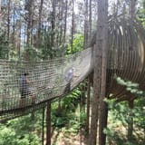 Dow Gardens Canopy Walk, Michigan - 138 Reviews, Map | AllTrails