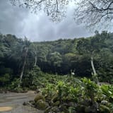 Waimea Valley Trail, Oahu, Hawaii - 1,683 Reviews, Map | AllTrails