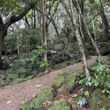 Waimea Valley Trail, Oahu, Hawaii - 1,683 Reviews, Map | AllTrails