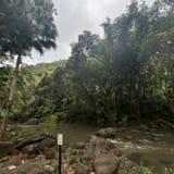 Waimea Valley Trail, Oahu, Hawaii - 1,556 Reviews, Map | AllTrails