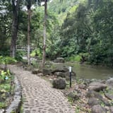Waimea Valley Trail, Oahu, Hawaii - 1,556 Reviews, Map | AllTrails