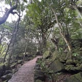 Waimea Valley Trail, Oahu, Hawaii - 1,683 Reviews, Map | AllTrails