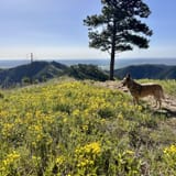 Lefthand Canyon Trail, Colorado - 473 Reviews, Map | AllTrails