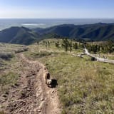 Lefthand Canyon Trail, Colorado - 473 Reviews, Map | AllTrails