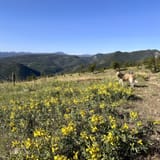 Lefthand Canyon Trail, Colorado - 473 Reviews, Map | AllTrails