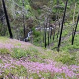 Oneonta Trail and Gorge Trail (Short Option), Oregon - 1,083 Reviews ...