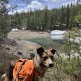 Whits Lakes Spring, Montana - 142 Reviews, Map | AllTrails