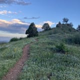 Mount Morrison Trail, Colorado - 5,855 Reviews, Map | AllTrails