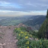 Mount Morrison Trail, Colorado - 5,855 Reviews, Map | AllTrails
