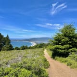 Dipsea Trail, Steep Ravine Trail, and Matt Davis Loop, California ...