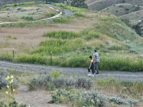 Best Horseback Riding Trails in Wenatchee | AllTrails