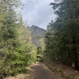 Carter Lake Trail, Alaska - 368 Reviews, Map | AllTrails