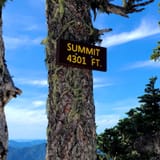 Mount Rose Trail, Washington - 1,473 Reviews, Map | AllTrails