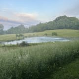 Okehocking Preserve Loop, Pennsylvania - 1,044 Reviews, Map | AllTrails