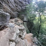 Princess Arch Trail, Kentucky - 1,290 Reviews, Map | AllTrails
