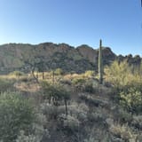 Hackberry Springs Loop, Arizona - 1,742 Reviews, Map | AllTrails