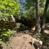 Princess Arch Trail, Kentucky - 1,280 Reviews, Map | AllTrails