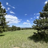 Colorow Mountain Forest and Meadow Loop Trail, Colorado - 595 Reviews ...
