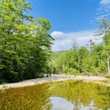 Saco River Trail, New Hampshire - 510 Reviews, Map | AllTrails
