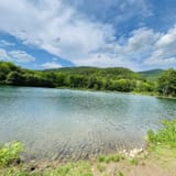 Saco River Trail, New Hampshire - 510 Reviews, Map | AllTrails