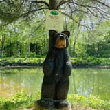 Saco River Trail, New Hampshire - 510 Reviews, Map | AllTrails