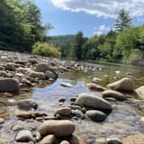 Saco River Trail, New Hampshire - 510 Reviews, Map | AllTrails