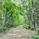 Saco River Trail, New Hampshire - 510 Reviews, Map | AllTrails