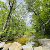 Saco River Trail, New Hampshire - 510 Reviews, Map | AllTrails