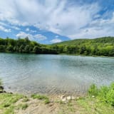 Saco River Trail, New Hampshire - 510 Reviews, Map | AllTrails