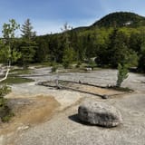 Welch-Dickey Loop Trail, New Hampshire - 7,098 Reviews, Map | AllTrails