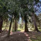 Oak Glen Preserve Trails, California - 792 Reviews, Map | AllTrails