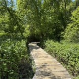 Oak Glen Preserve Trails, California - 792 Reviews, Map | AllTrails