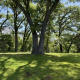 Oak Glen Preserve Trails, California - 792 Reviews, Map | AllTrails