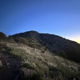 Mount Morrison Trail, Colorado - 5,855 Reviews, Map | AllTrails