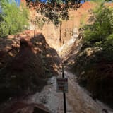 Canyon Loop Trail, Georgia - 2,261 Reviews, Map | AllTrails